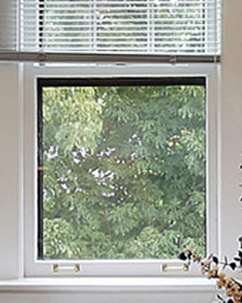 Double Hung Window Replacement & Installation Services | Emmons